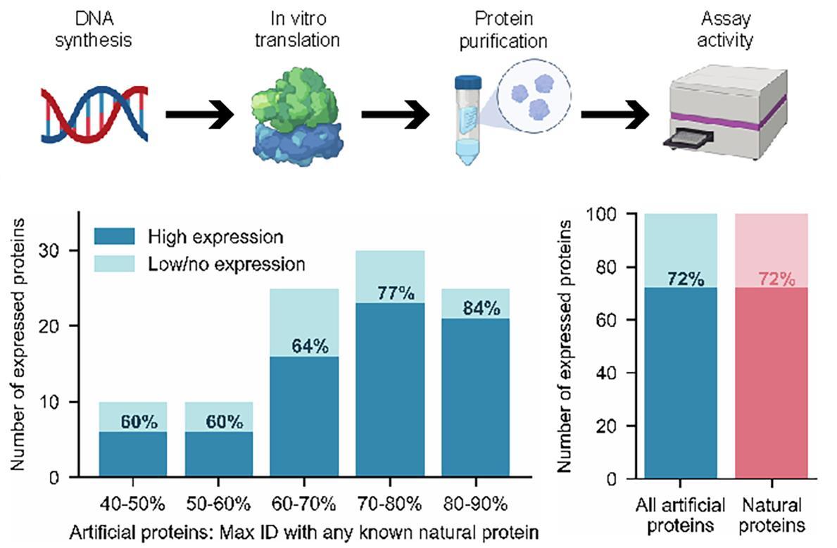 Vector Cloning Services | VectorBuilder
